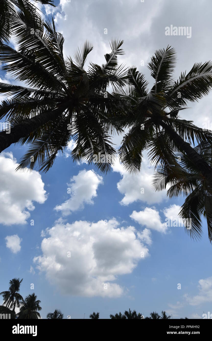 Autumn clouds in Kolkata, India Stock Photo - Alamy