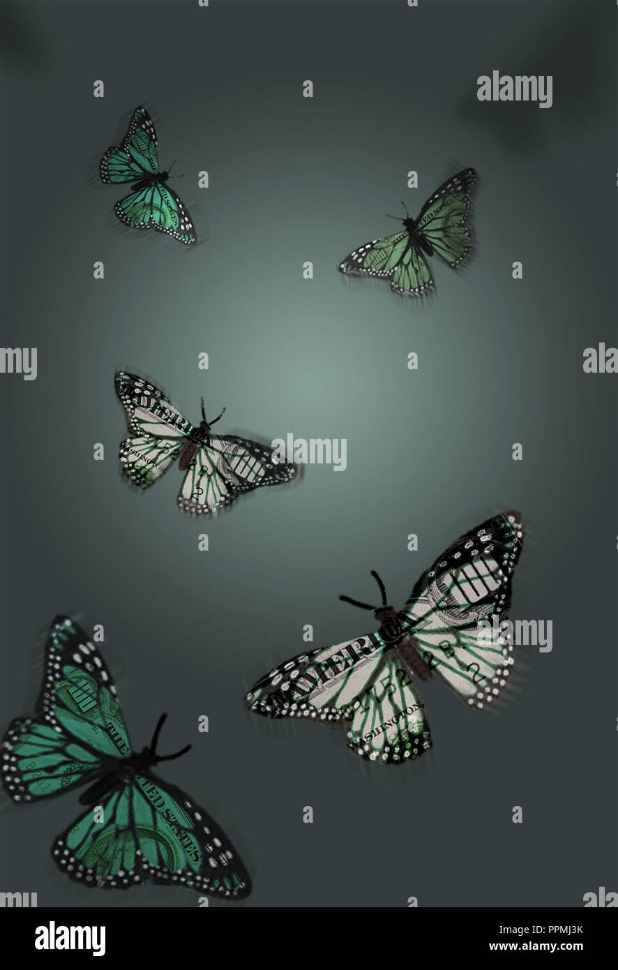 Dollar bill butterfly hi-res stock photography and images - Alamy