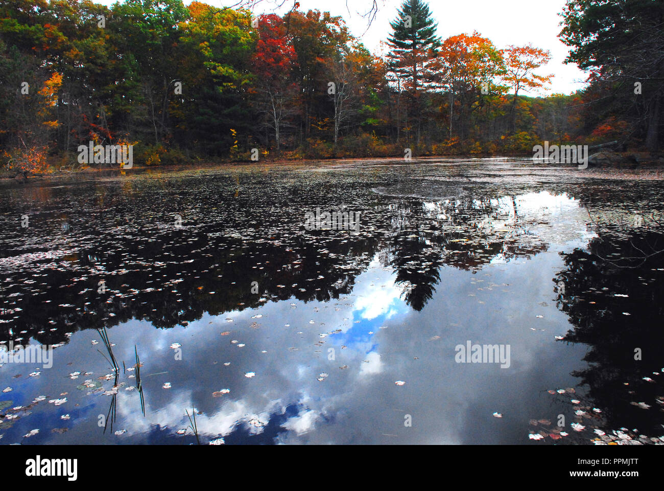 A beautiful view of the fall colors, and a sky reflection, in a ...