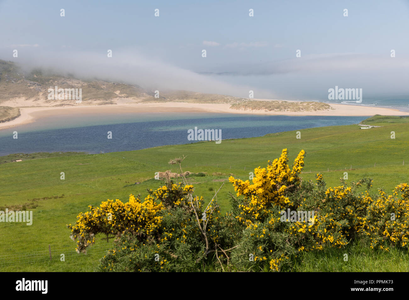 Entlang hi-res stock photography and images - Alamy