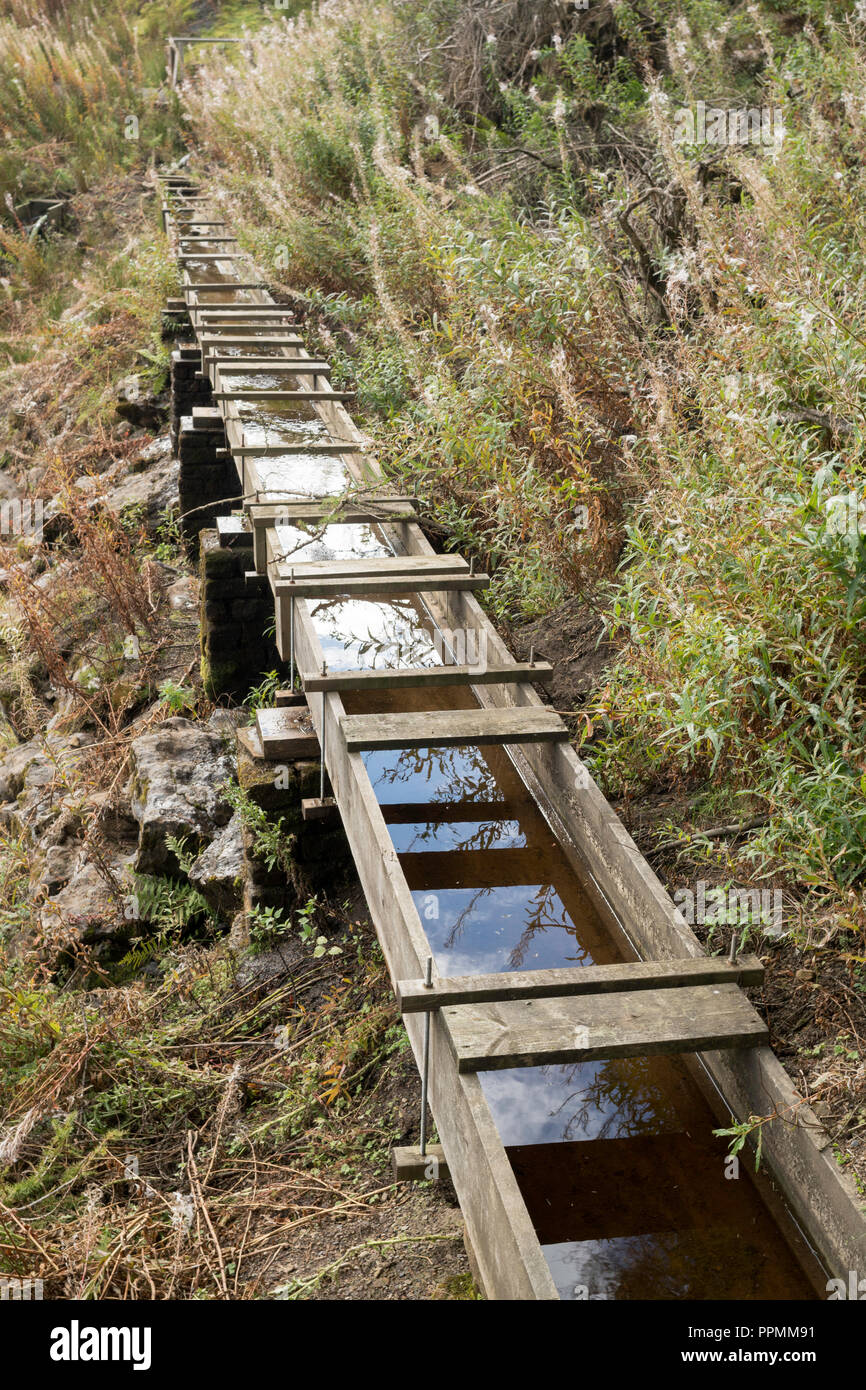 Wooden water channel hi-res stock photography and images - Alamy
