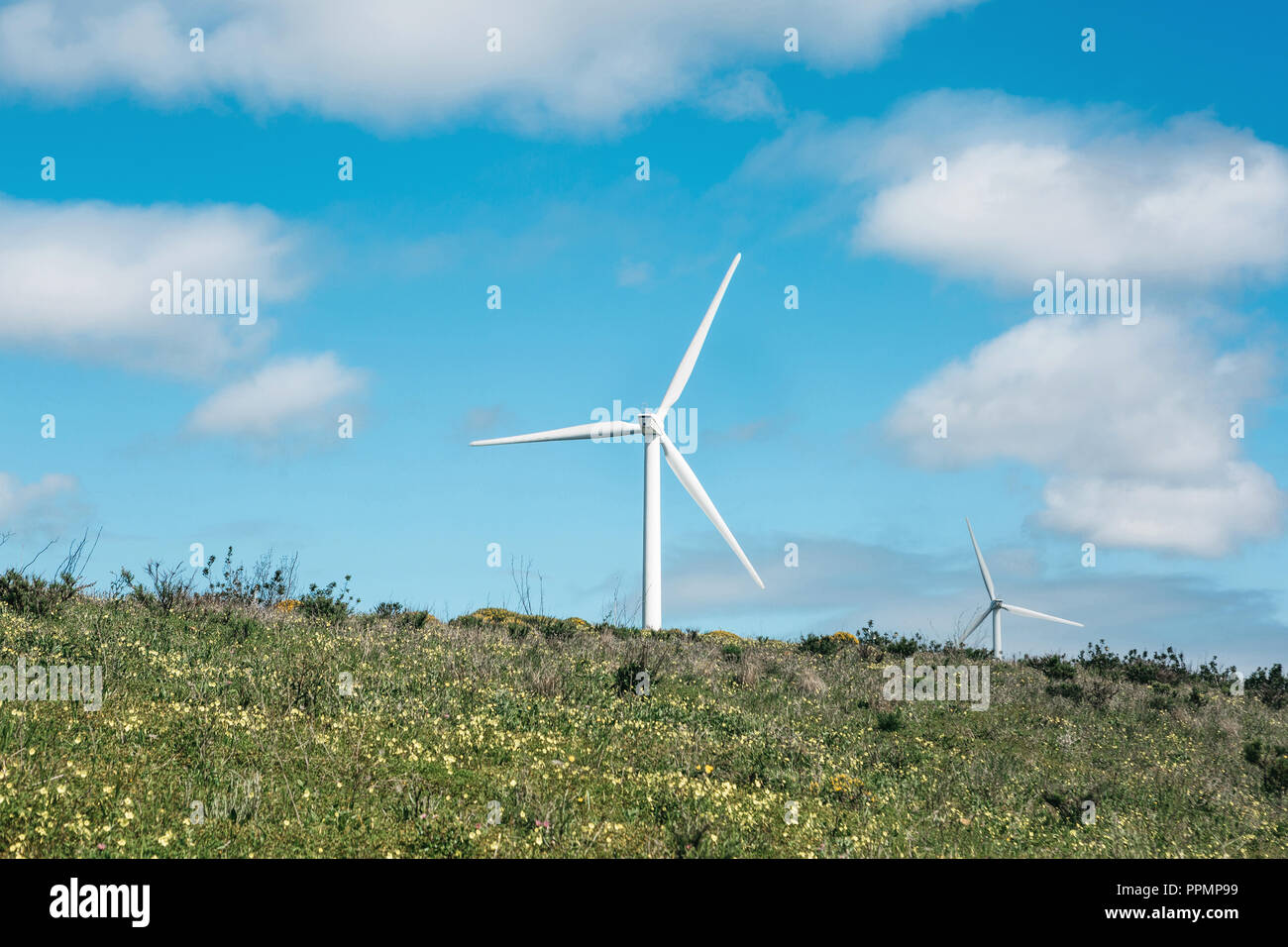 Wind farms or windmills for the extraction of wind power in Portugal ...