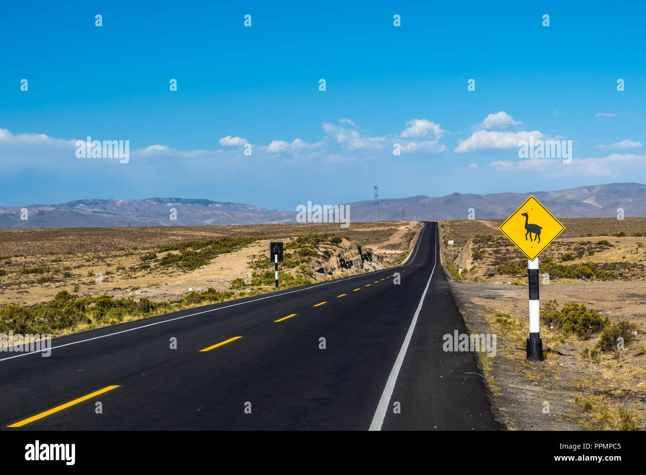 Llama crossing road sign in Peru, South America Stock Photo - Alamy