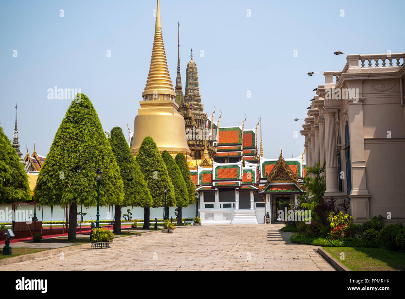 Conical trees on the path to the Phra Si Ratana Chedi, Grand Palace ...