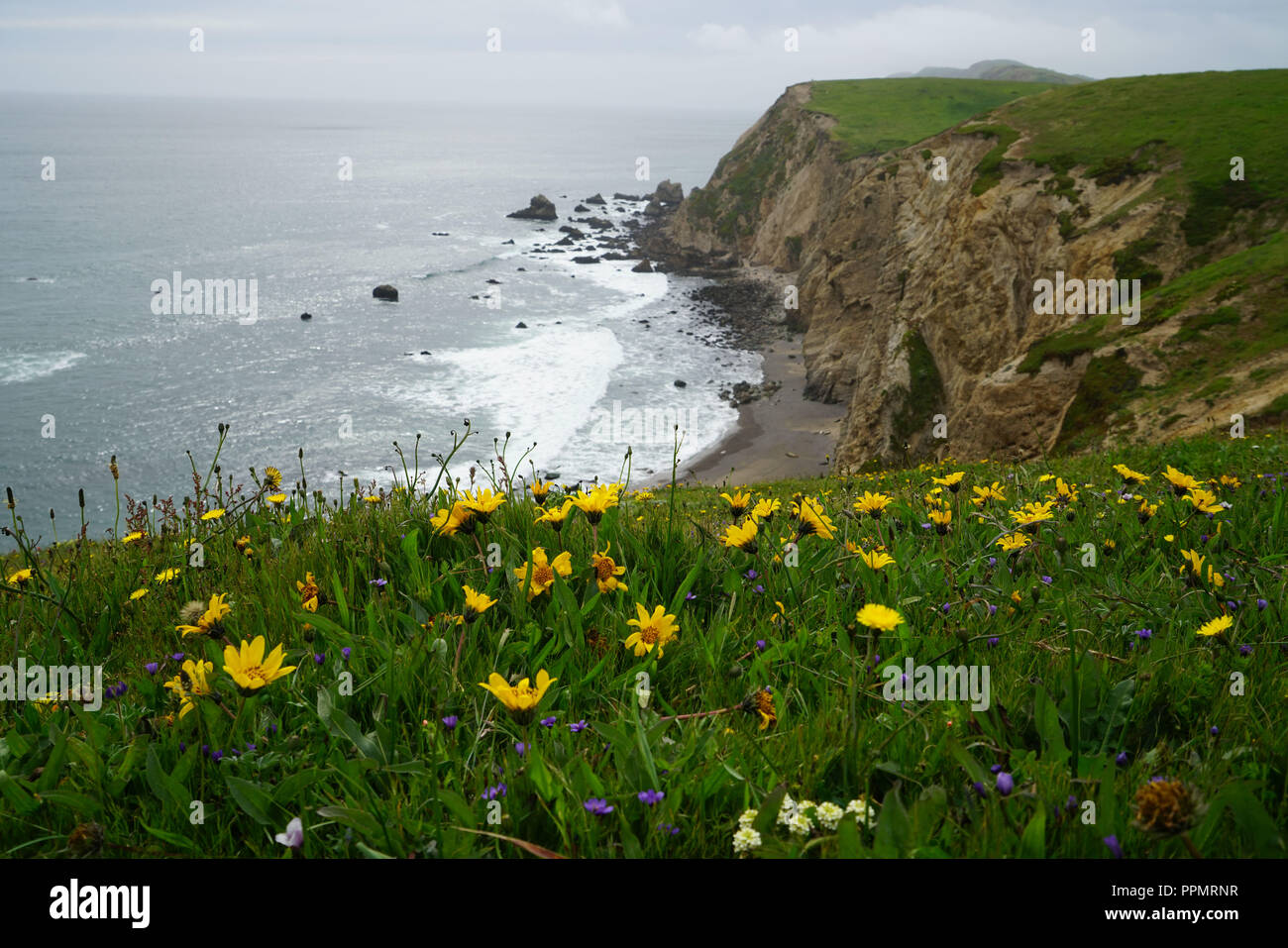 Norcal scenery hi-res stock photography and images - Alamy