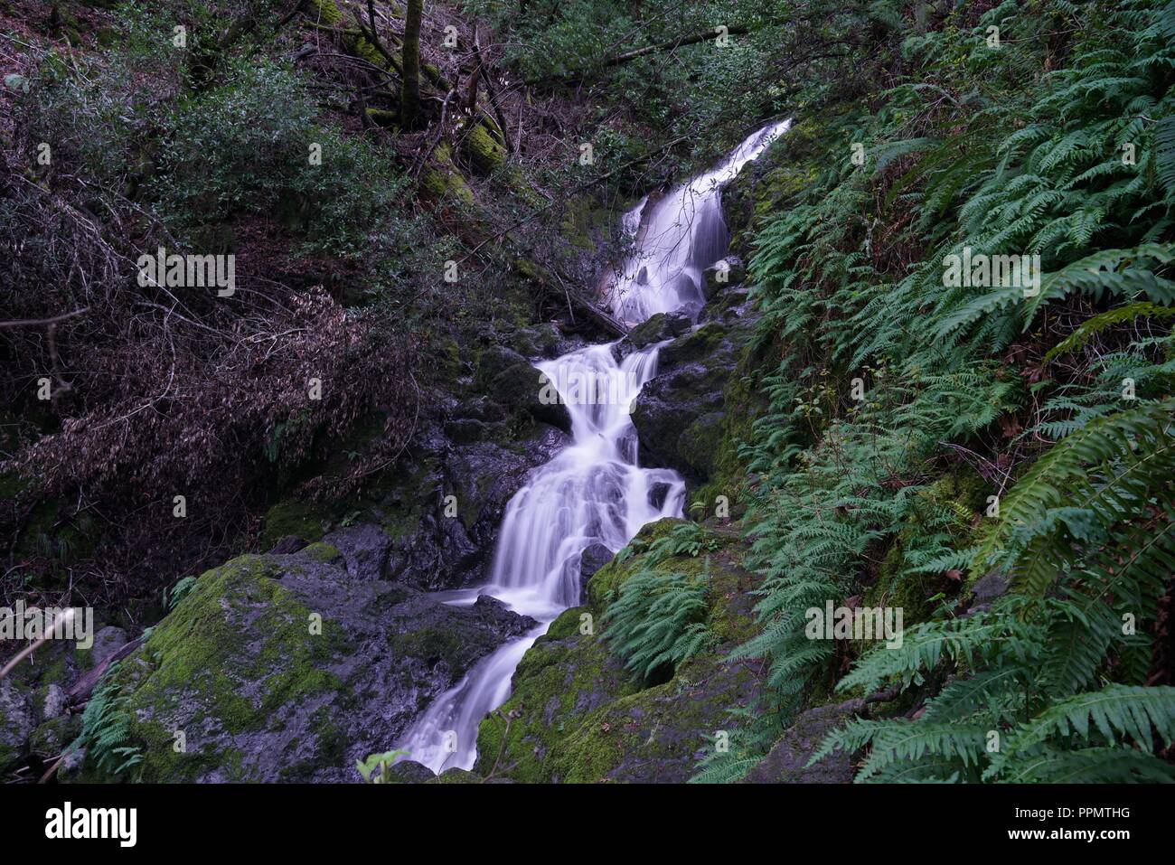 Forest waterfalls in California Stock Photo - Alamy