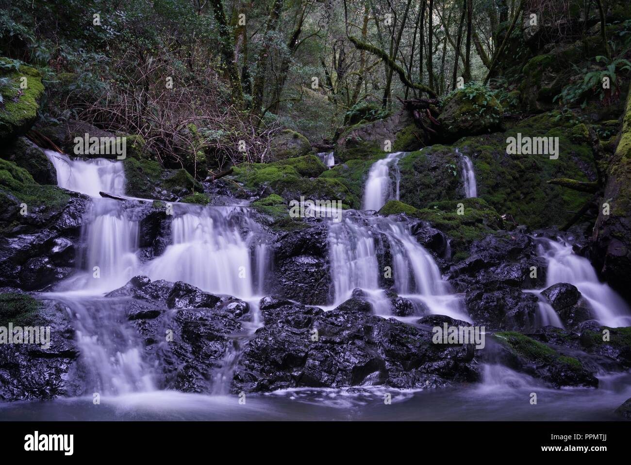 Forest waterfalls in California Stock Photo - Alamy