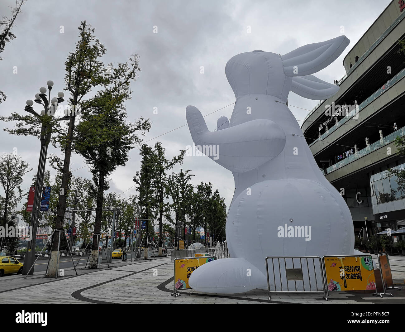 Rabbita hi-res stock photography and images - Alamy