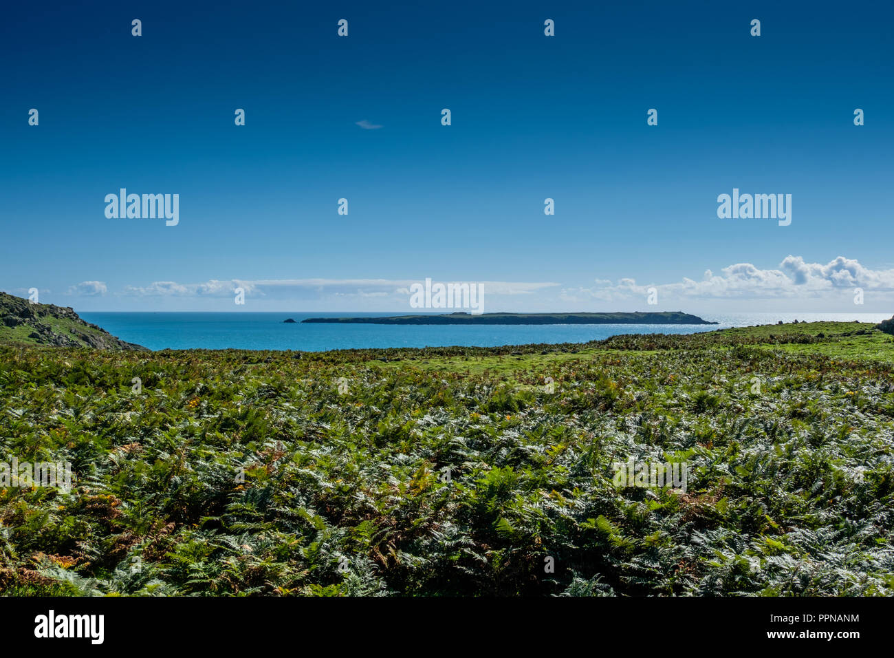 Bracken island hi-res stock photography and images - Alamy