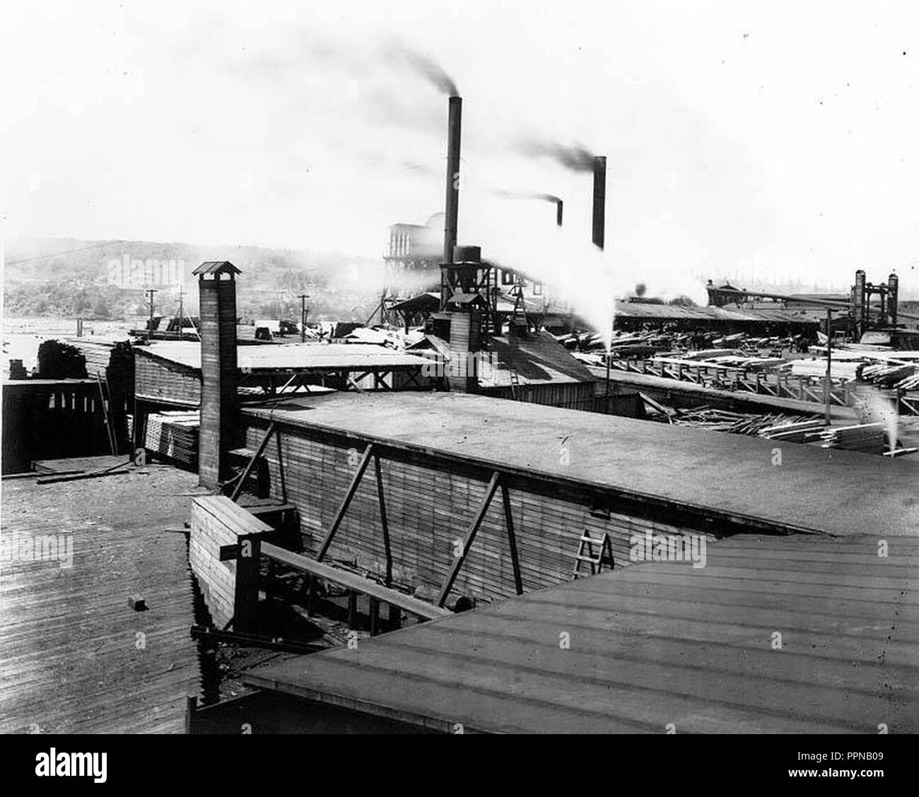 Bolcom Mills, Ballard district, Seattle (CURTIS 1740 Stock Photo - Alamy
