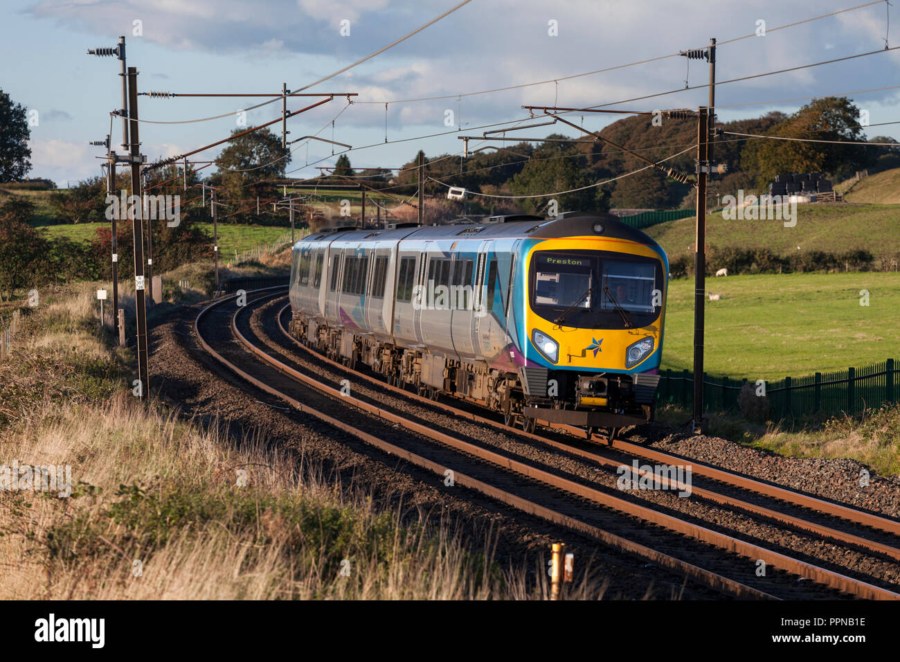 185113 hi-res stock photography and images - Alamy