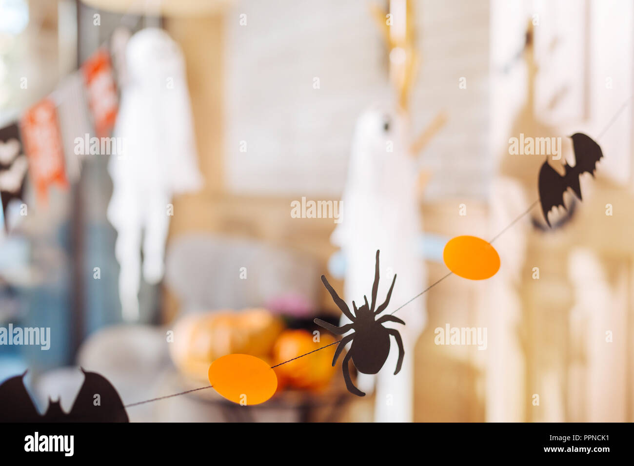 Hanging spiders hi-res stock photography and images - Alamy