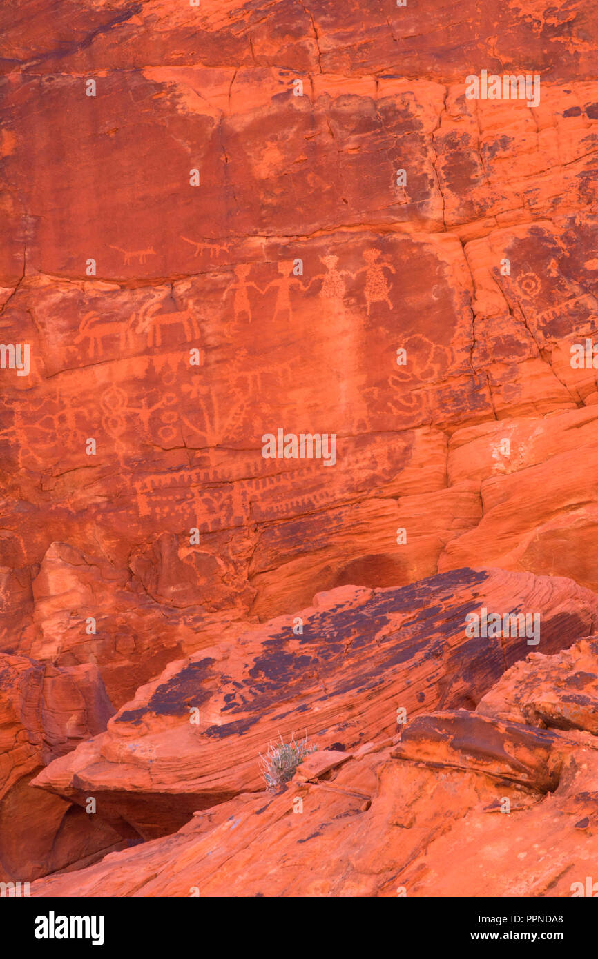 Petroglyphs in Petroglyph Canyon along Mouse's Tank Trail, Valley of ...