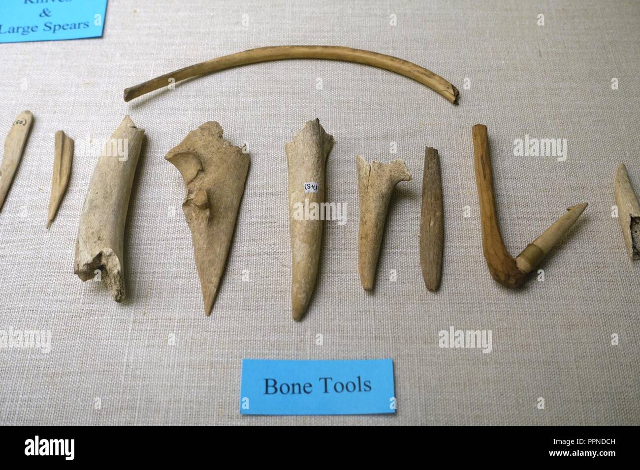 Bone tools hi-res stock photography and images - Alamy