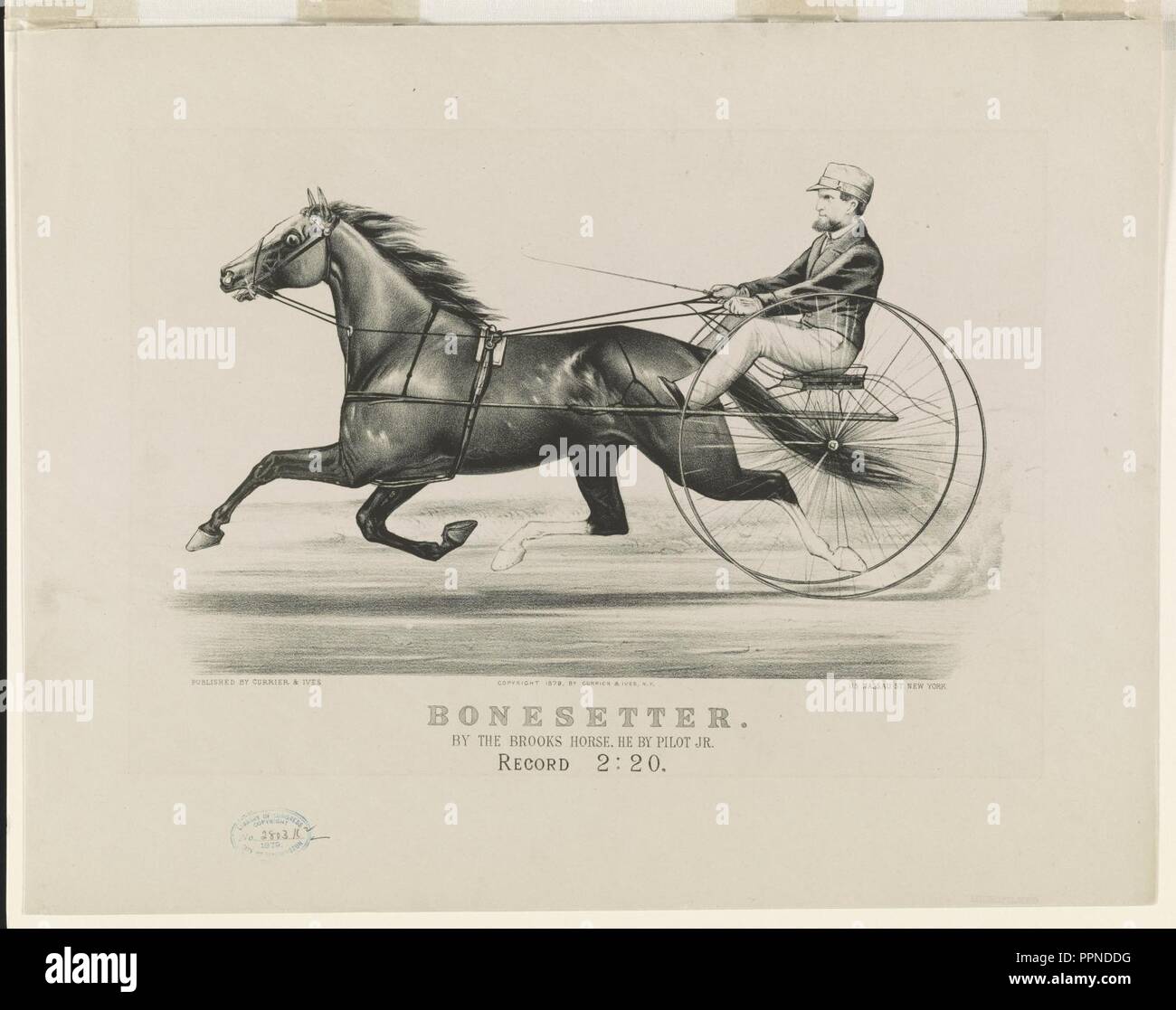 Bonesetter hi-res stock photography and images - Alamy