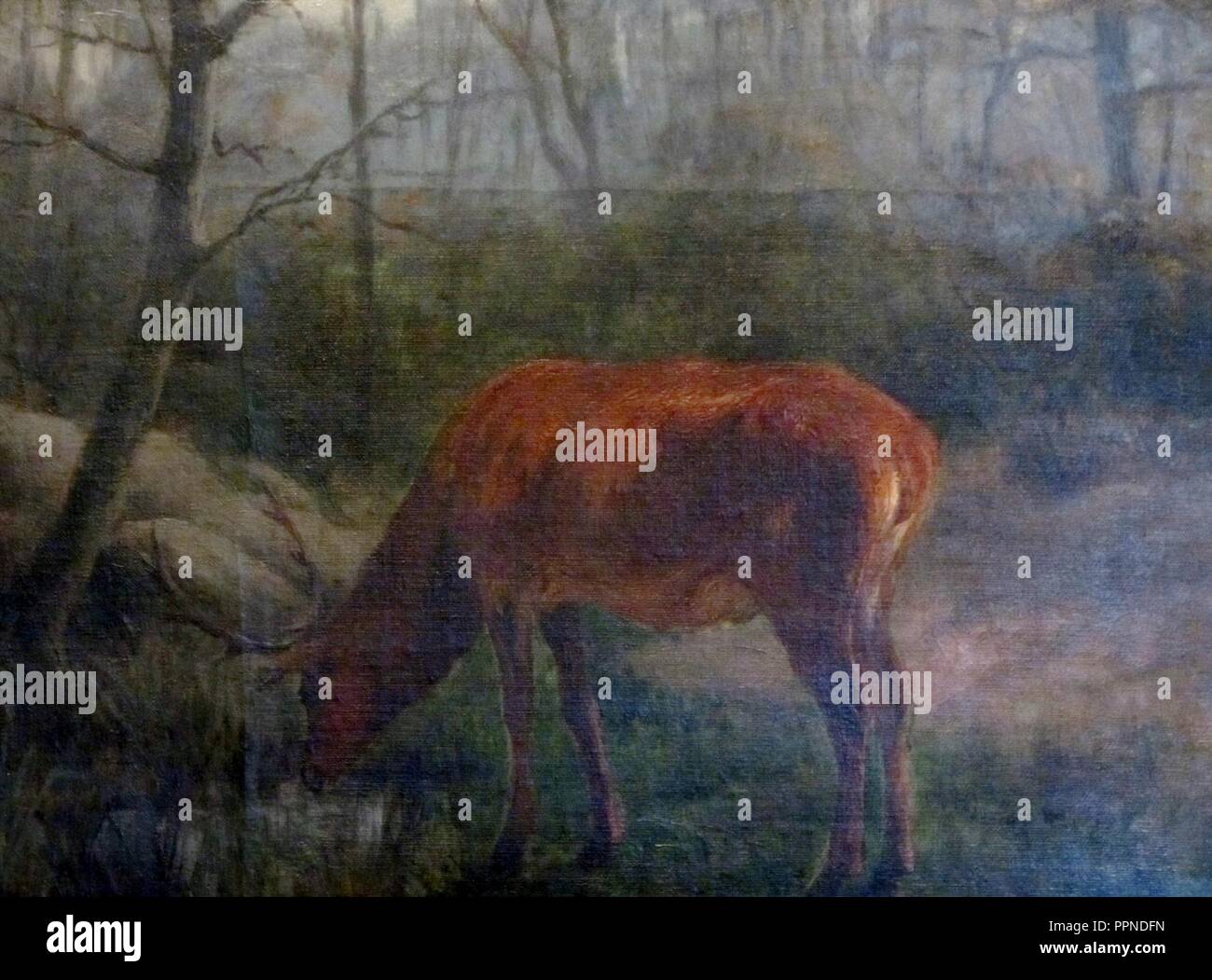 Venado historical hi-res stock photography and images - Alamy