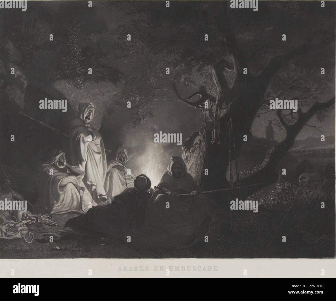 10215 hi-res stock photography and images - Alamy