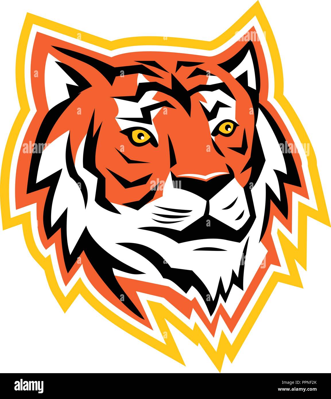 Sports mascot icon illustration of a head of Bay of Bengal tiger, a ...