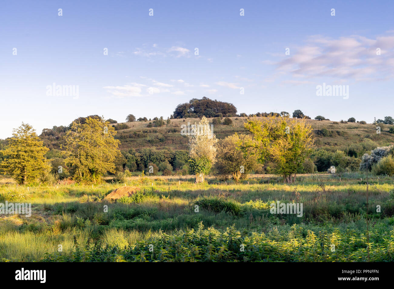 Winchester water meadows hi-res stock photography and images - Alamy