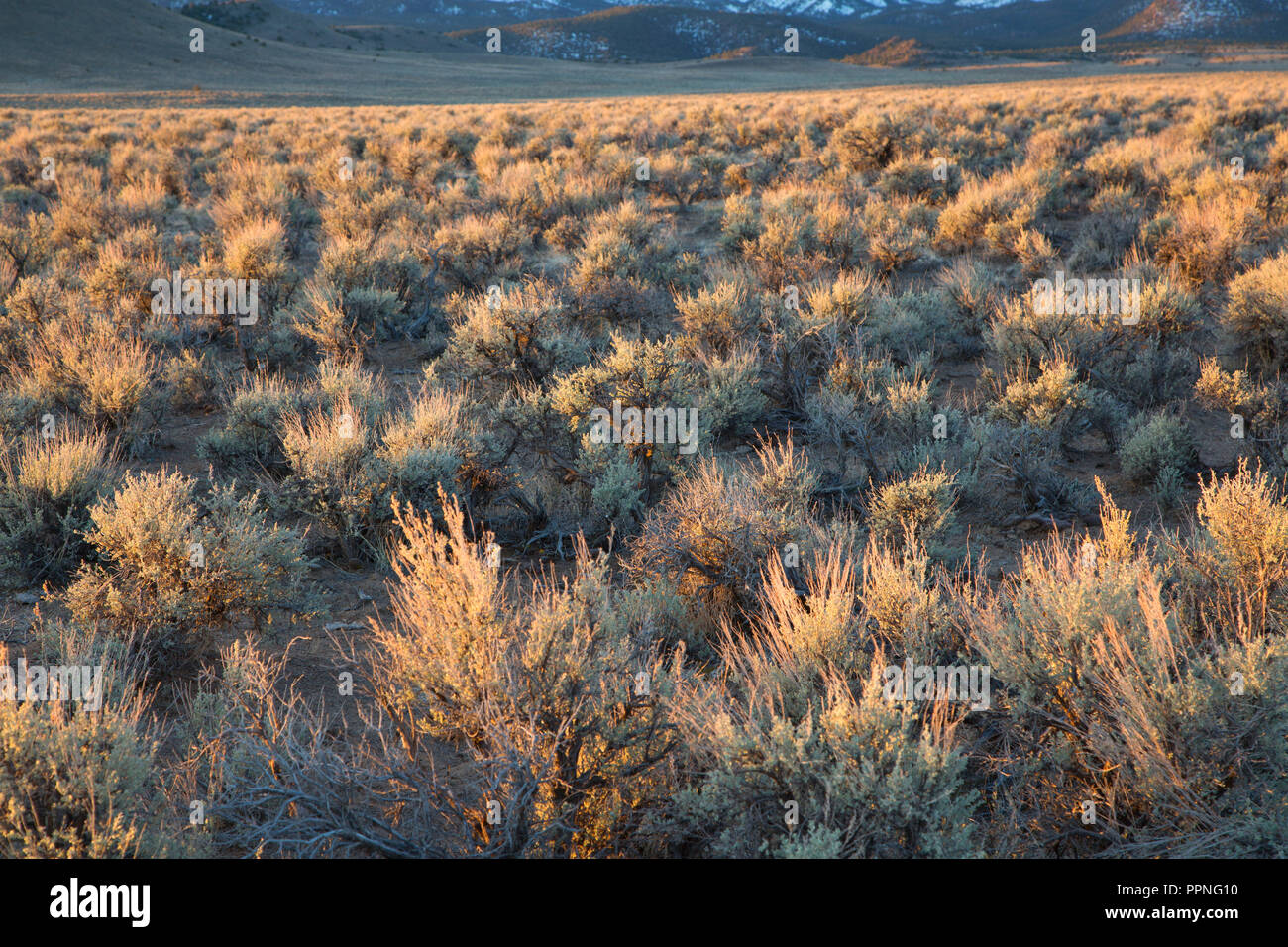Kobeh valley hi-res stock photography and images - Alamy