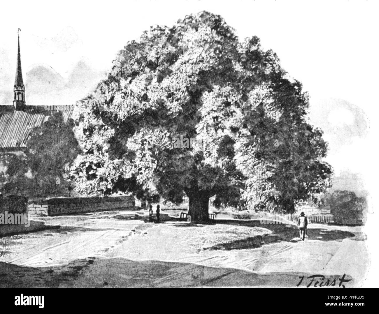 Bordesholm hi-res stock photography and images - Alamy