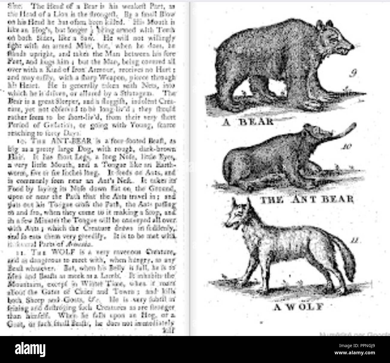 Boreman hi-res stock photography and images - Alamy