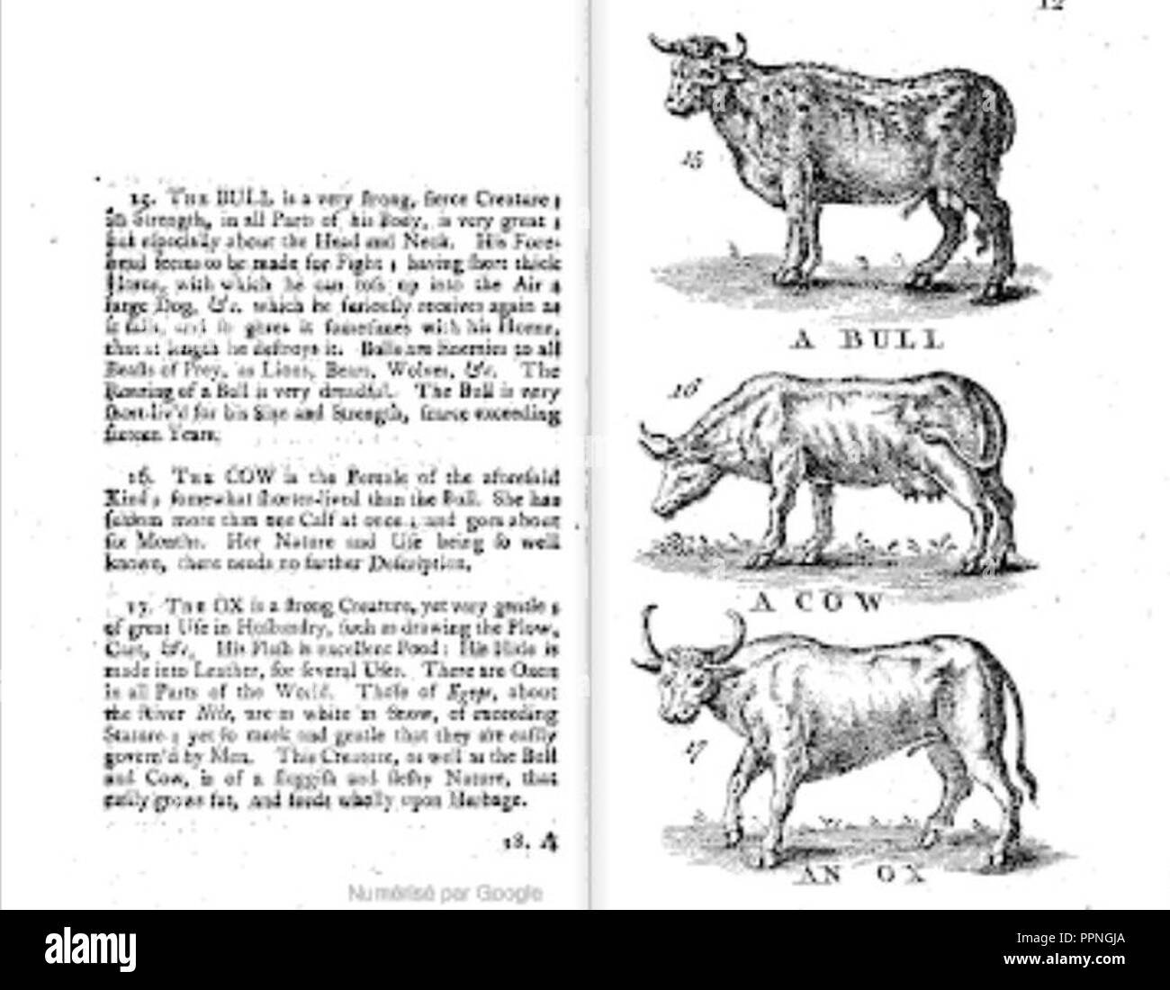 Boreman hi-res stock photography and images - Alamy