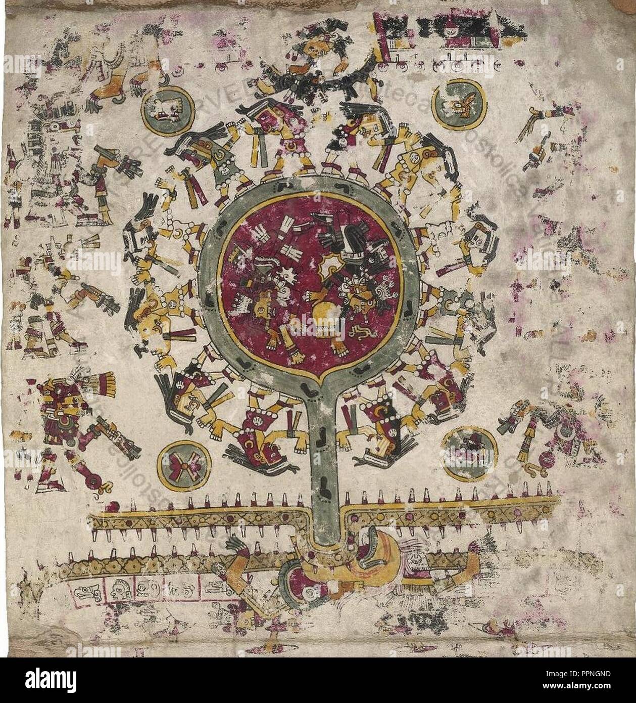 Borgianus hi-res stock photography and images - Alamy