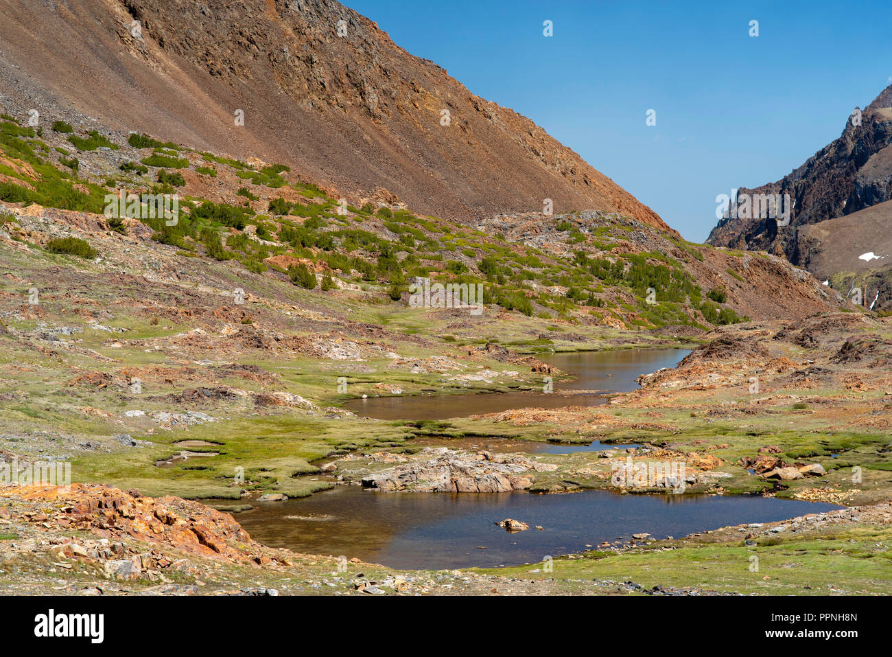 Clear water scree field hi-res stock photography and images - Alamy
