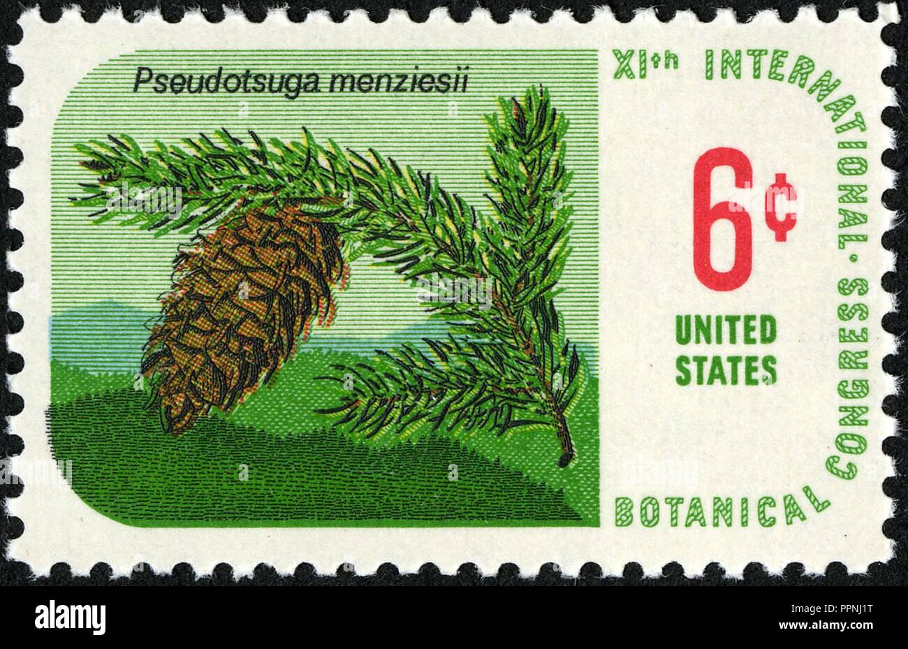 Botanical Congress Douglas Fir 6c 1969 issue U.S. stamp Stock Photo - Alamy