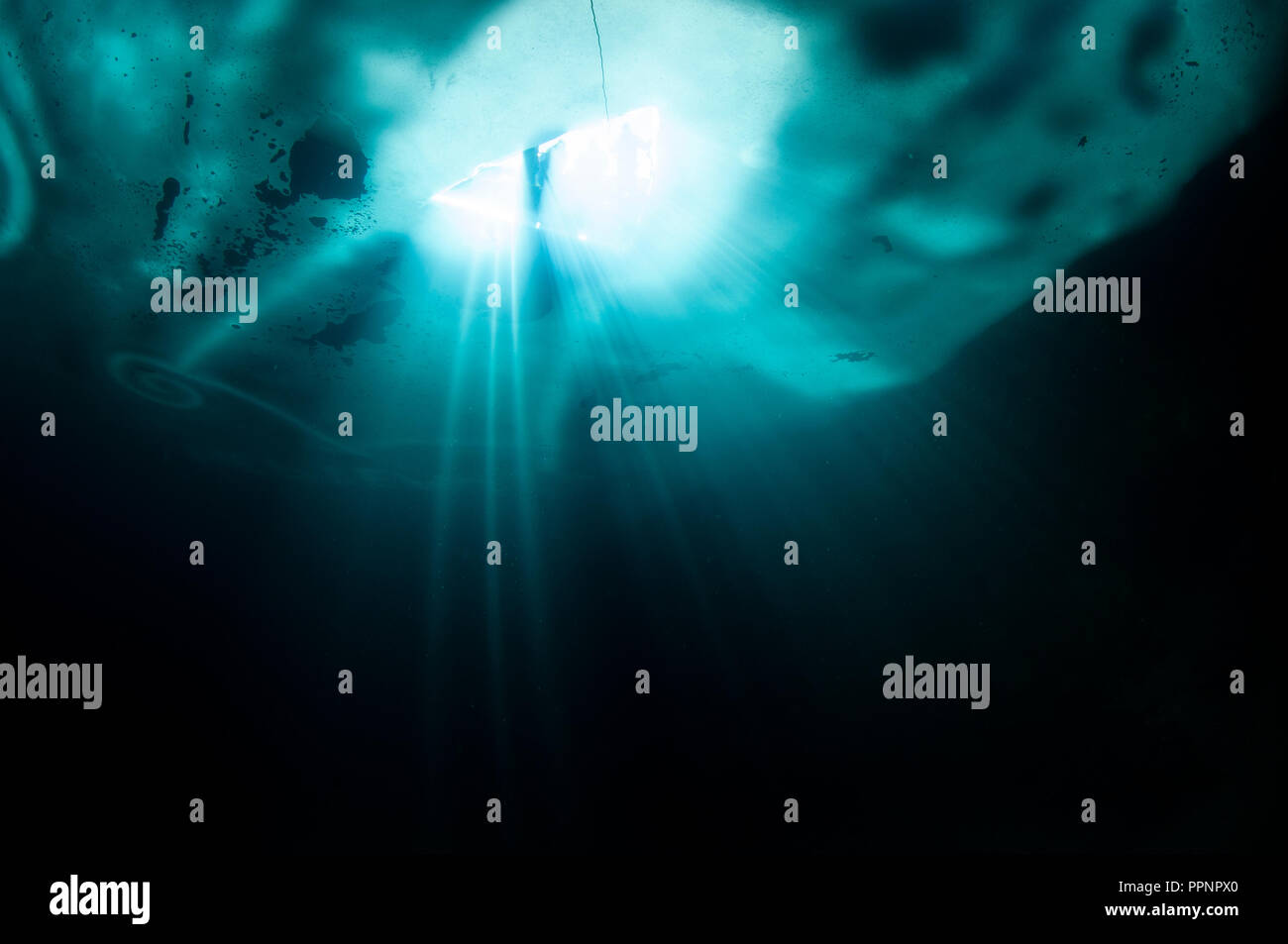 Winter ice diving underwater in a quarry in Canada Stock Photo - Alamy