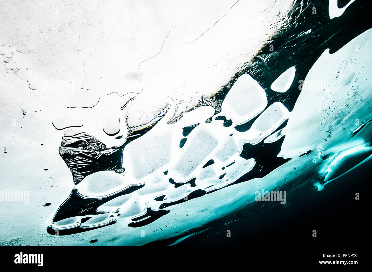 Winter ice diving underwater in a quarry in Canada Stock Photo - Alamy