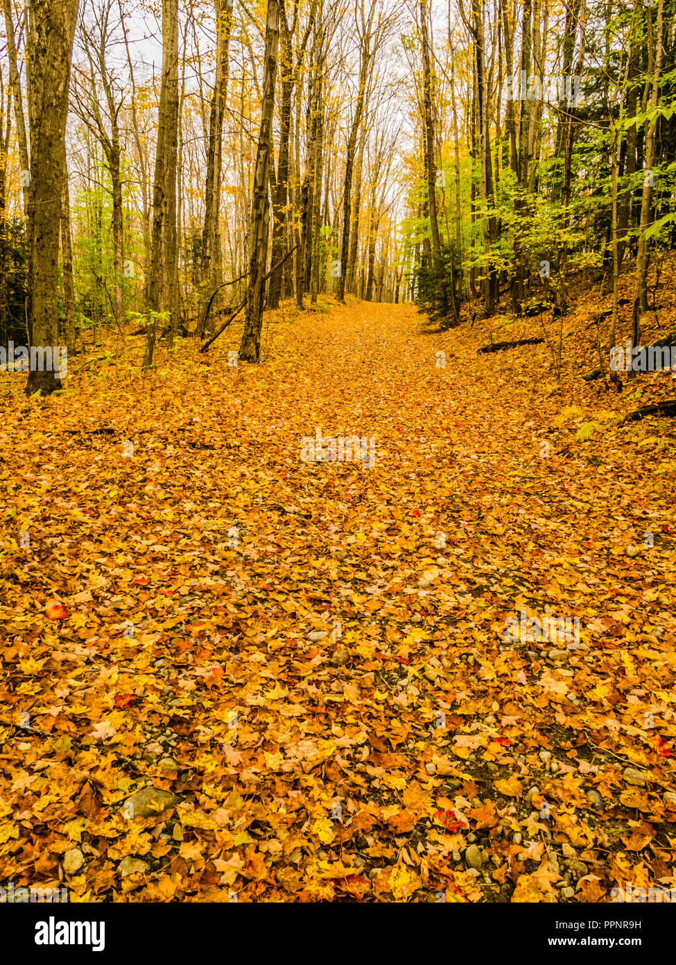 Hogback dam hi-res stock photography and images - Alamy