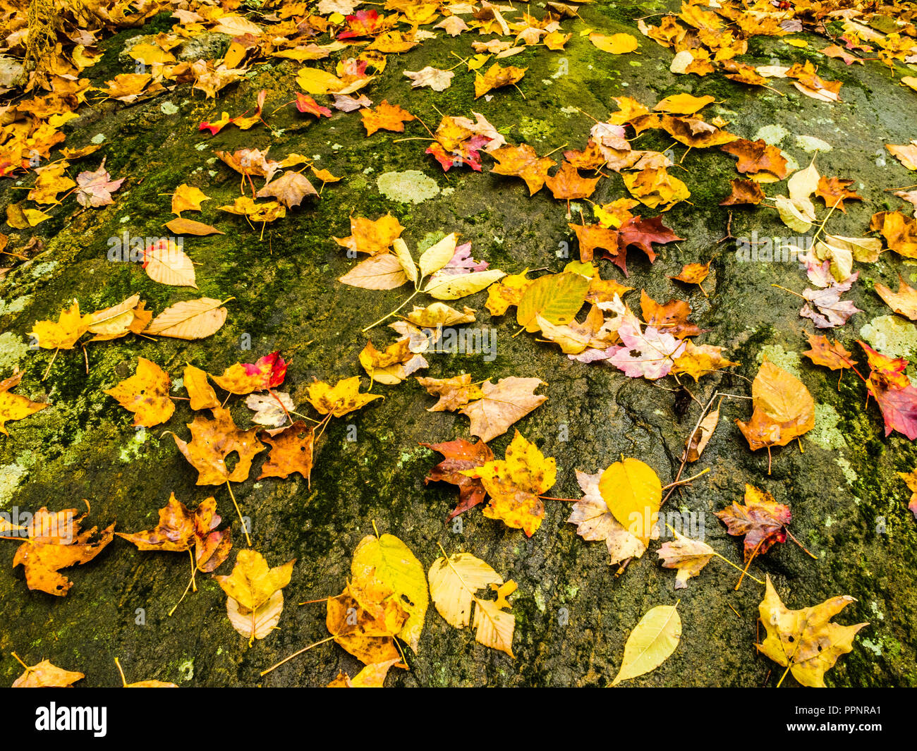 Hogback dam hi-res stock photography and images - Alamy