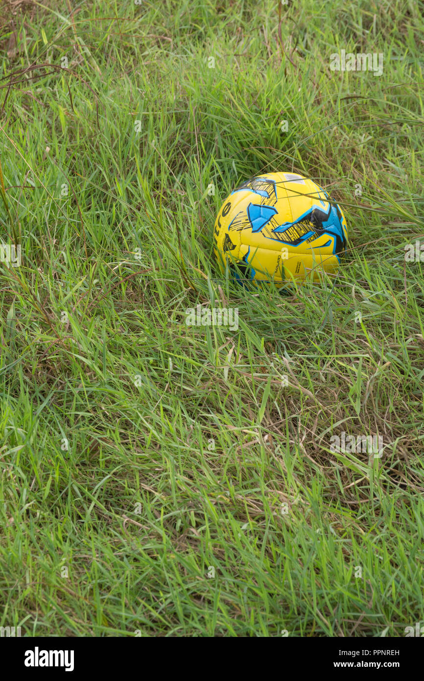 Kicked into the long grass hi-res stock photography and images - Alamy