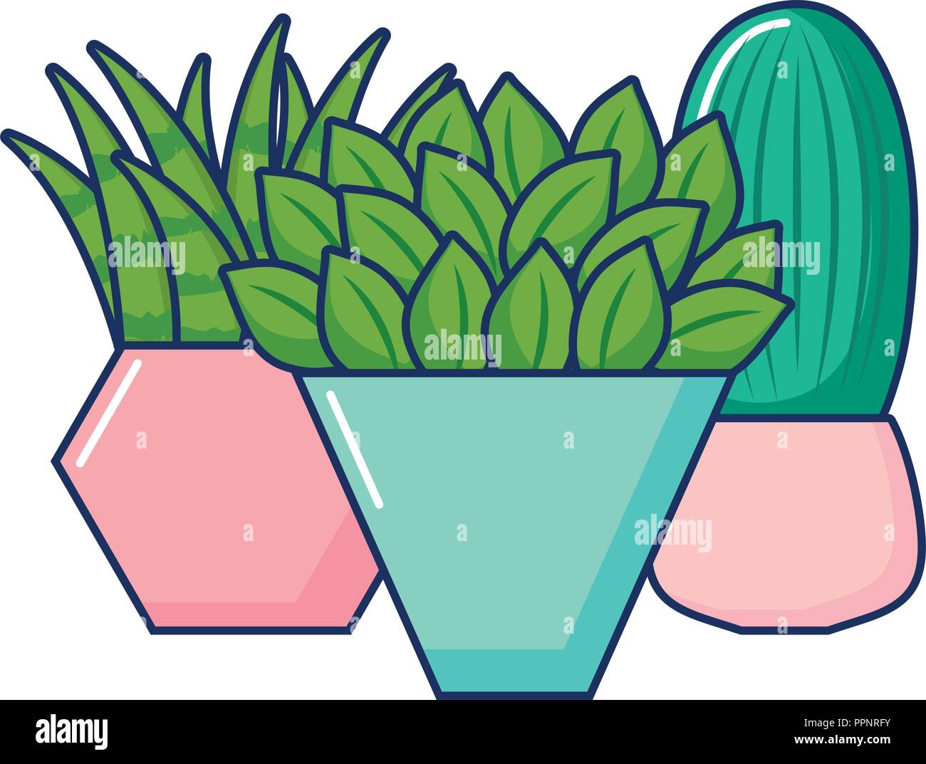 set of potted plants natural decoration vector illustration Stock ...