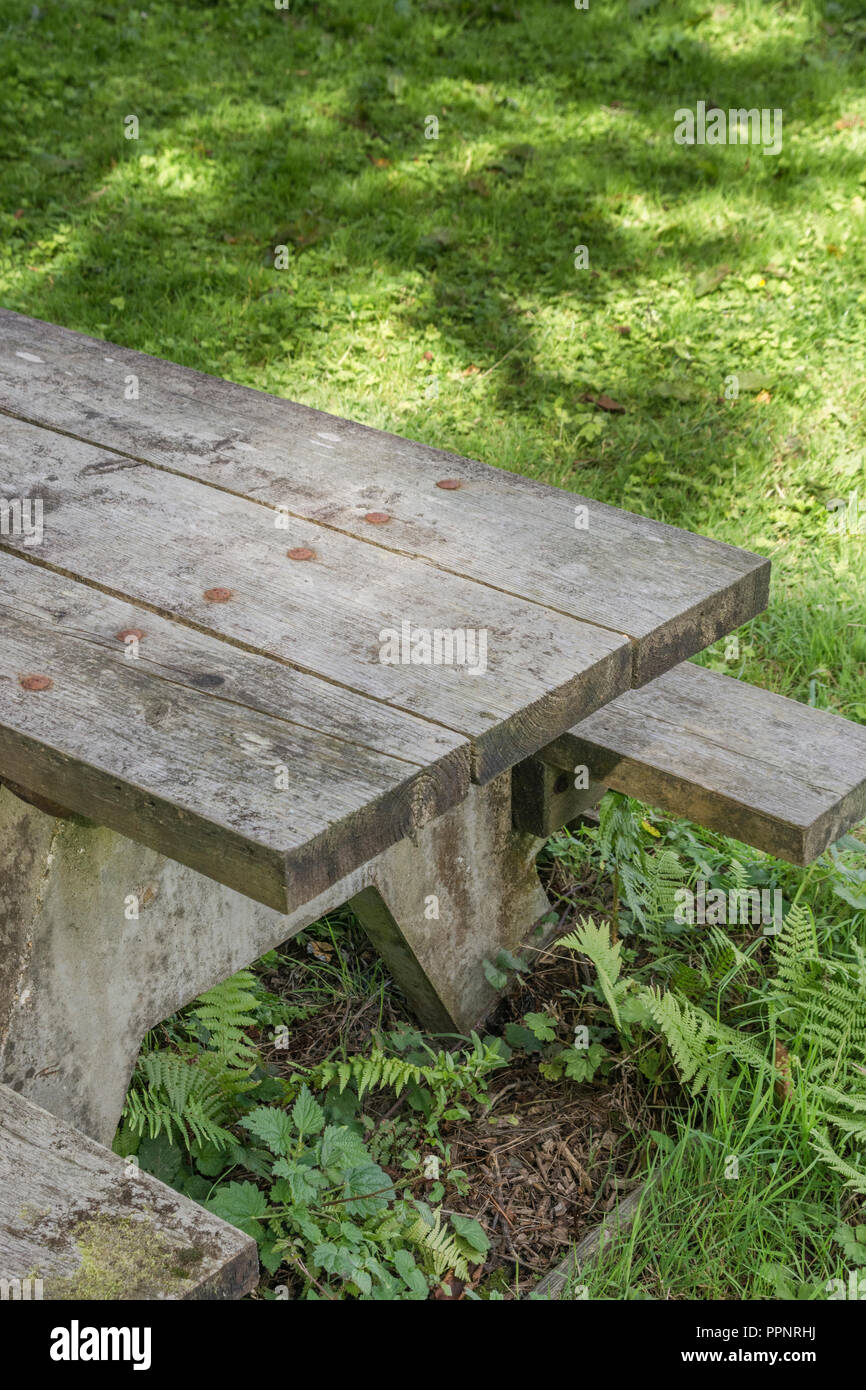 Public / community picnic bench in autumn sunshine Stock Photo - Alamy