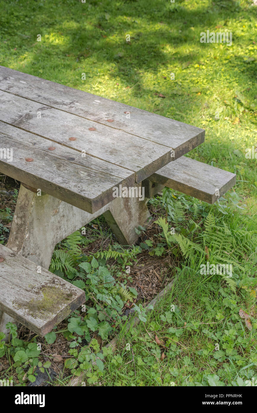 Public / community picnic bench in autumn sunshine Stock Photo - Alamy