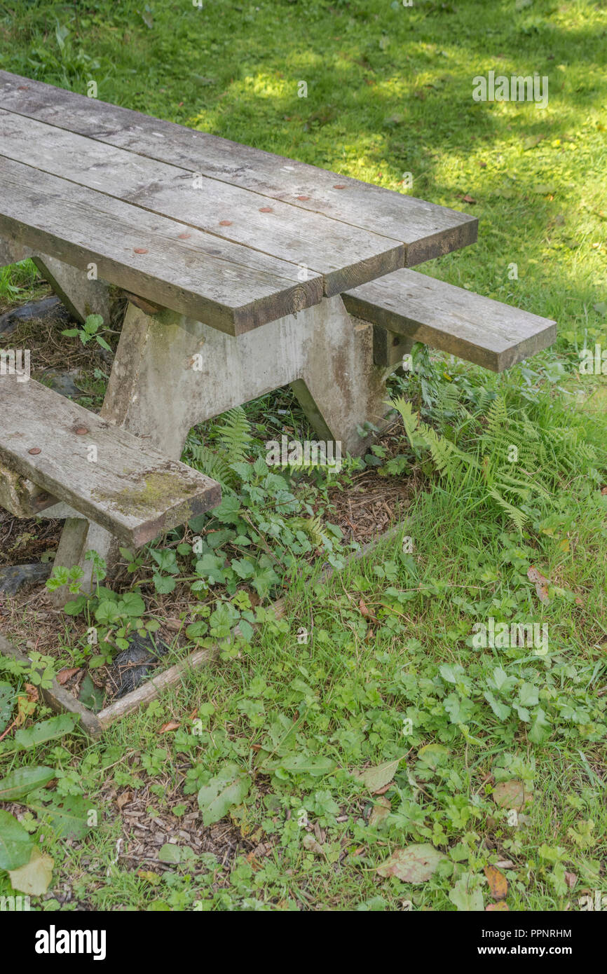 Community picnic table hi-res stock photography and images - Alamy