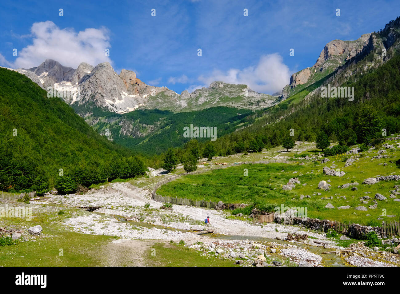 Female hiker in Kukaj Valley, Valbona National Park, Albanian Alps ...