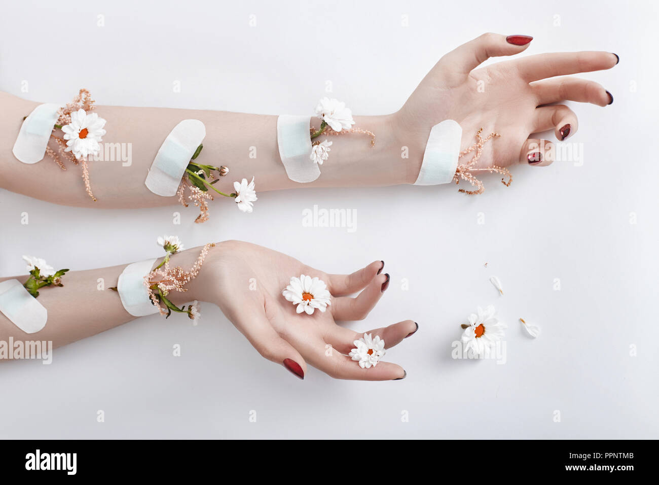 Fashion art hand care and purple flowers grow out of women hands ...