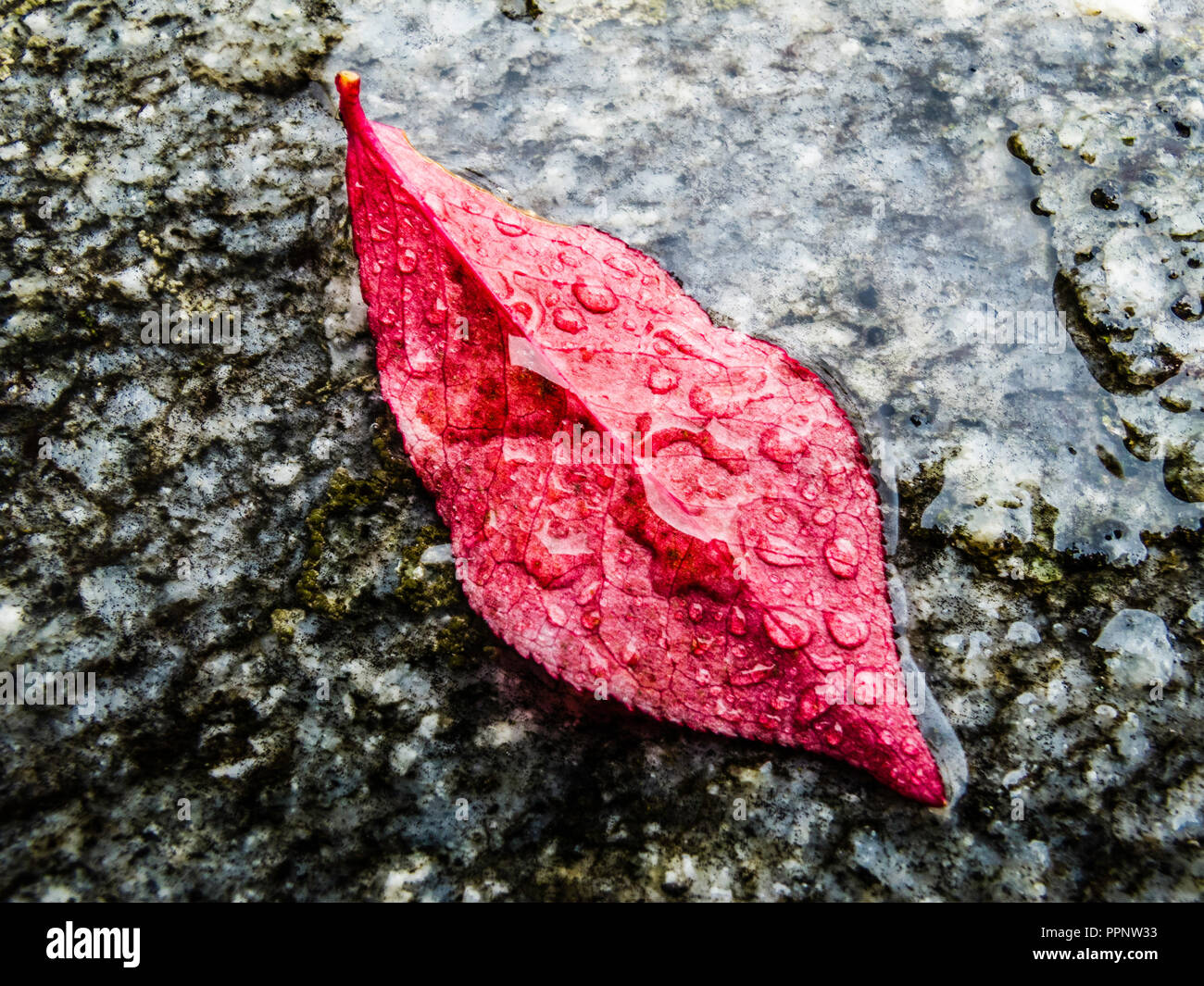Hogback dam hi-res stock photography and images - Alamy