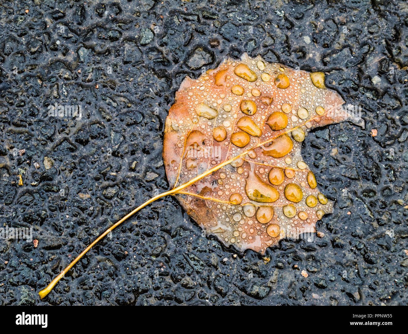 Hogback dam hi-res stock photography and images - Alamy