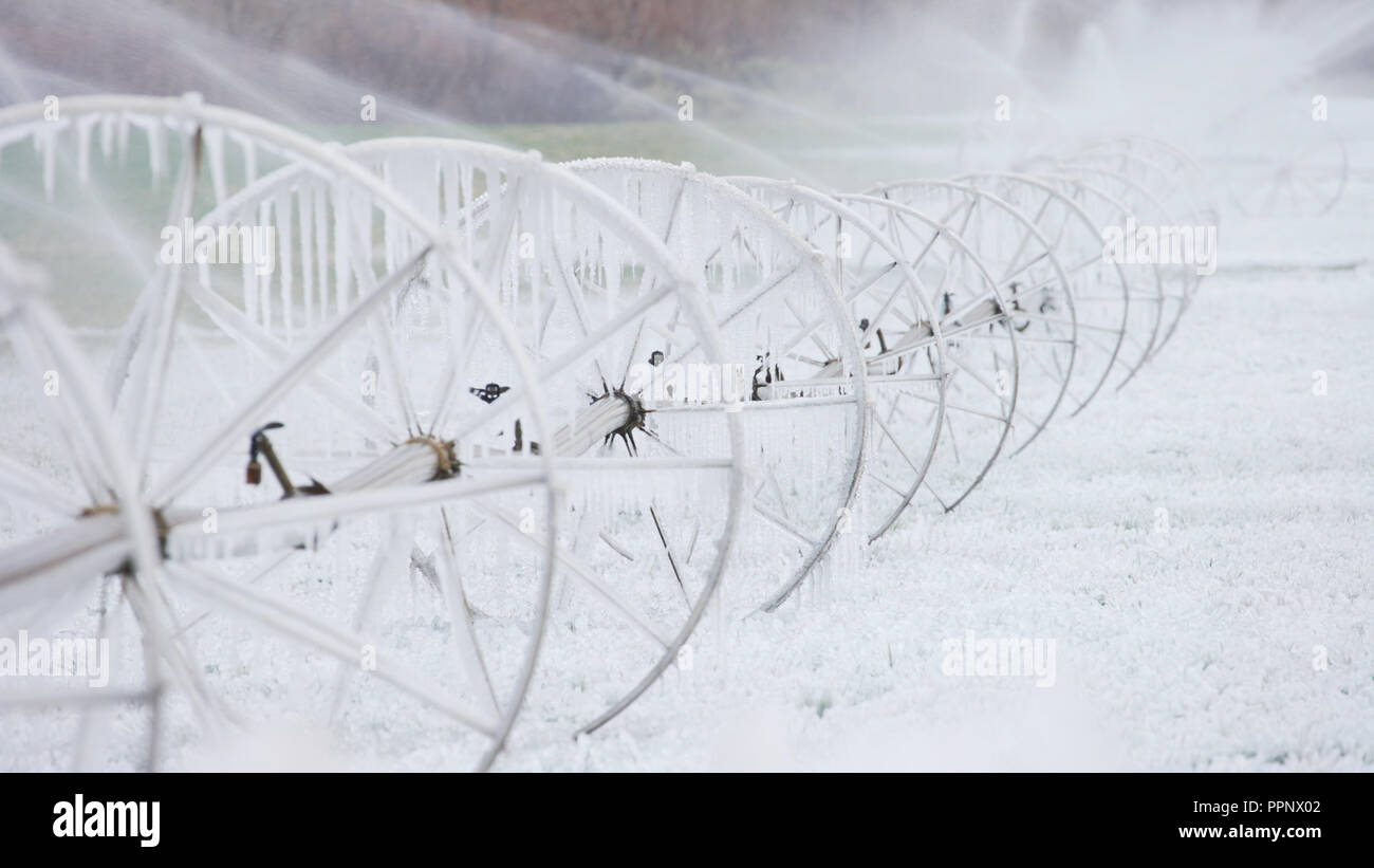 Frozen sprinkler hi-res stock photography and images - Alamy