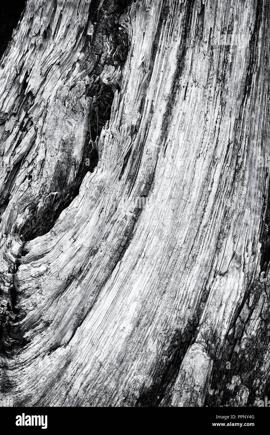 Canadian lumber hi-res stock photography and images - Alamy