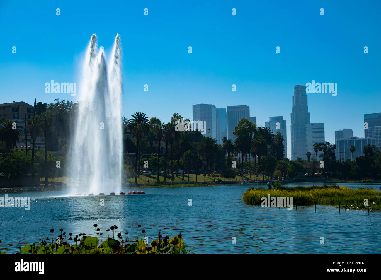 Los Angeles Echo Park Skyline High Resolution Stock Photography and ...