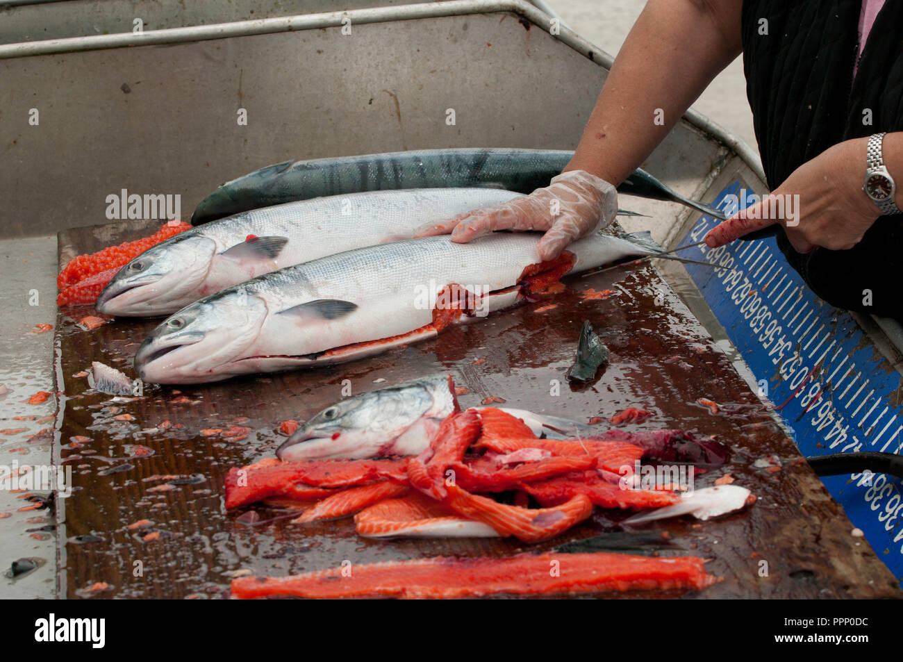 First nations woman fish hi-res stock photography and images - Alamy
