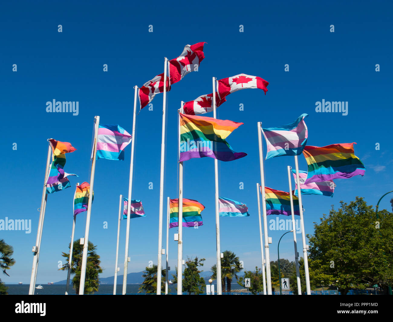 Canadian pride rainbow flag hi-res stock photography and images - Alamy