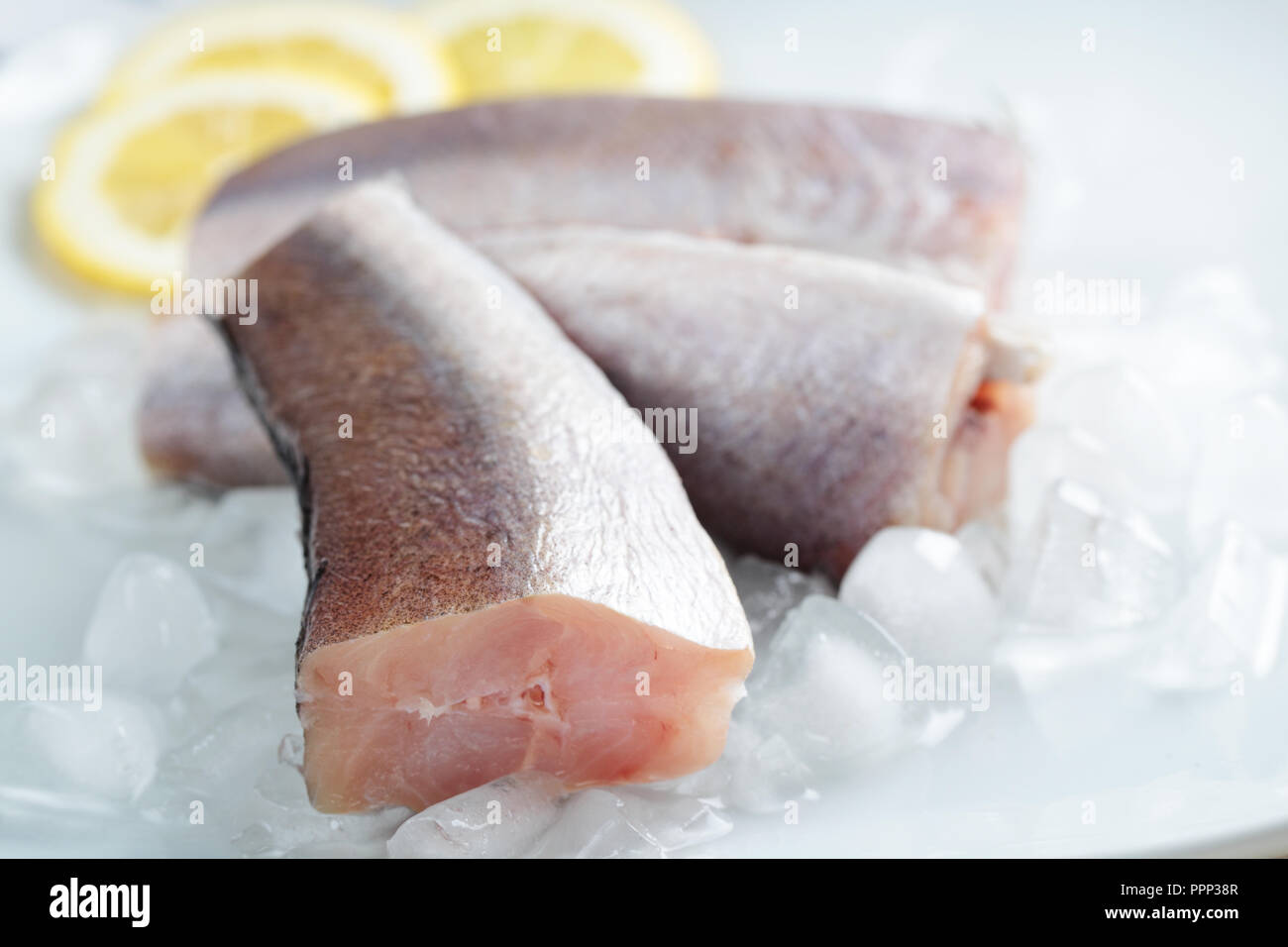 Raw hake on ice and slices of lemon Stock Photo - Alamy