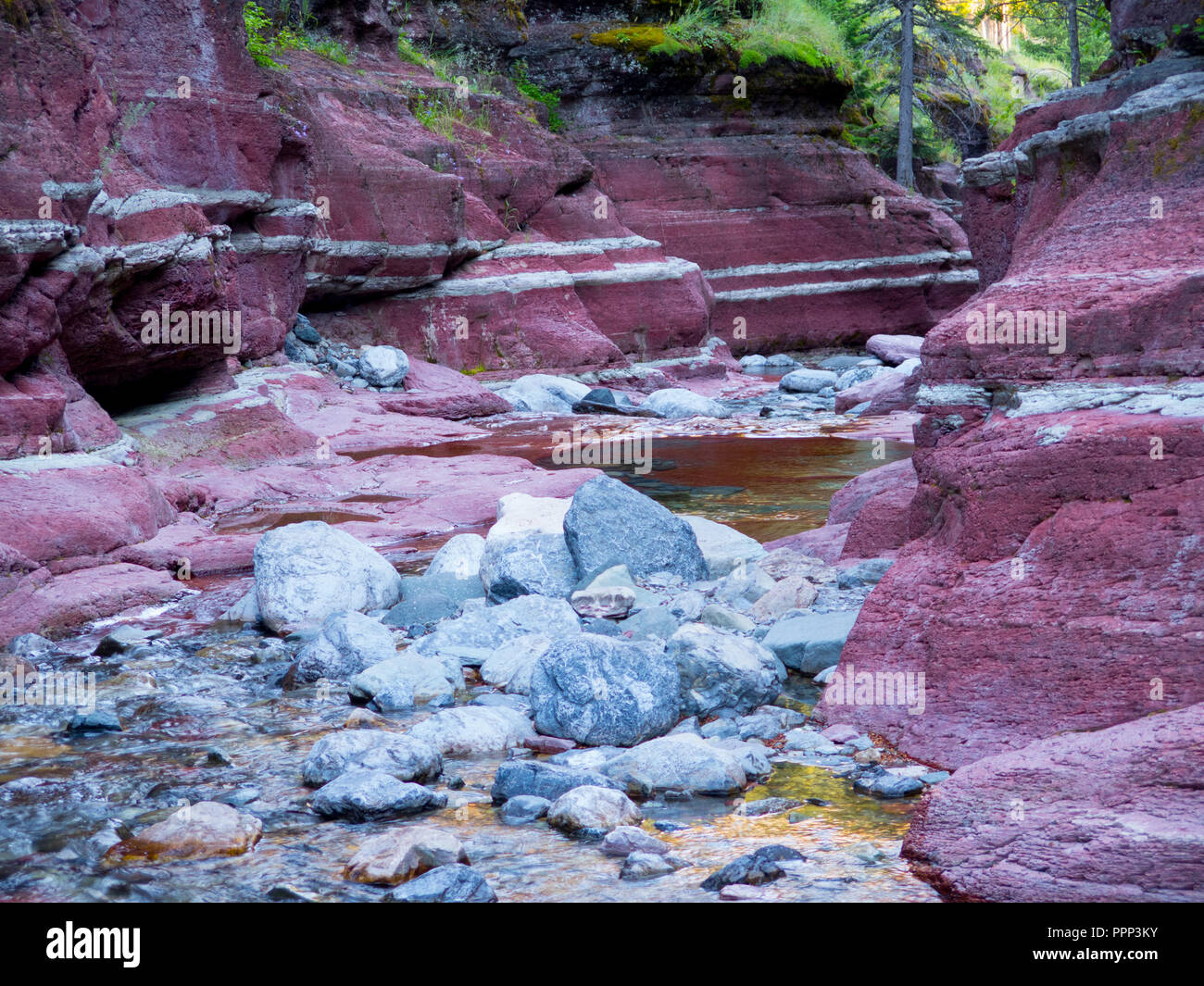 Red Rock Canyon, Waterton Lakes National Park, Alberta, Canada Stock ...